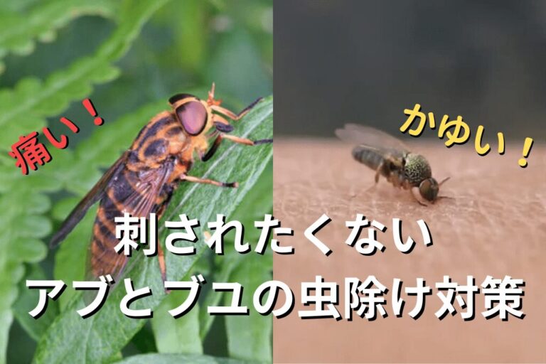 【登山の虫除け対策】同じようで全く違う。アブとブユ ブヨ の生態と対策法 ぽこぽこじゃーにー
